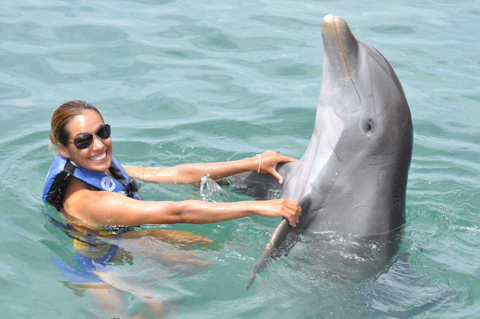 dolphin-discovery - Caribbean Islands Maps and Guides